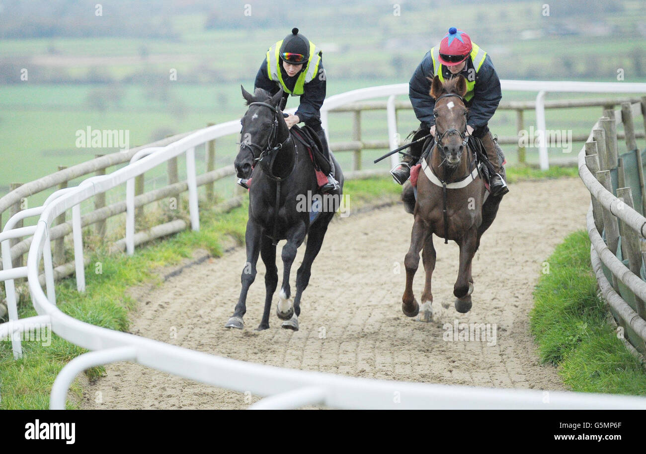 Horse Racing - Paul Nicholls Stable Visit - Manor Farm Stables Stock ...