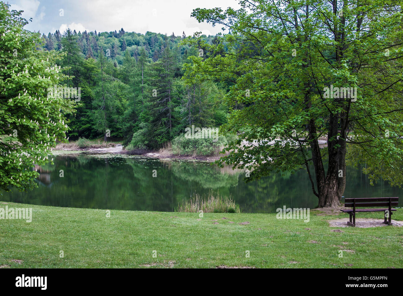 Peaceful mountain place with view over a beautiful pond, bench and the ...