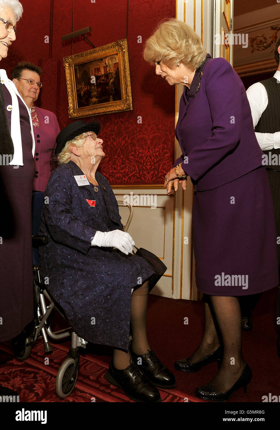 WRVS Diamond Champions Stock Photo - Alamy