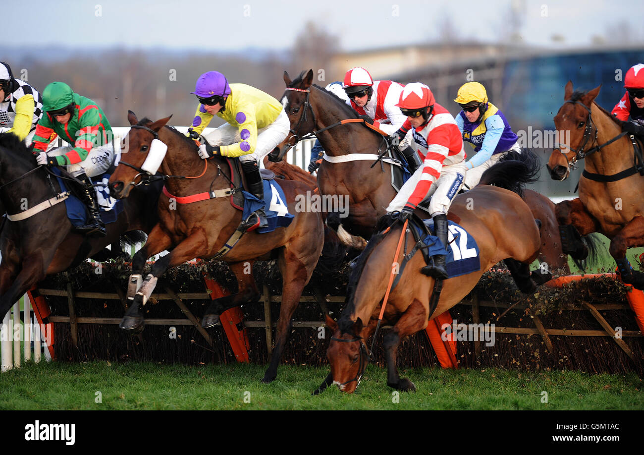 Curtain Razer ridden by Ruby Walsh falls during the Pertemps Handicap ...