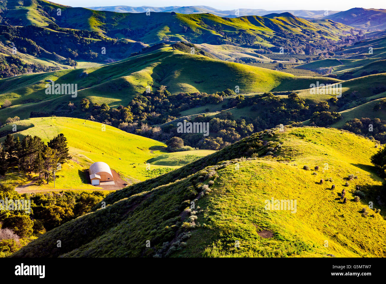 The hills and mountains along the California coast north of Morro Bay ...