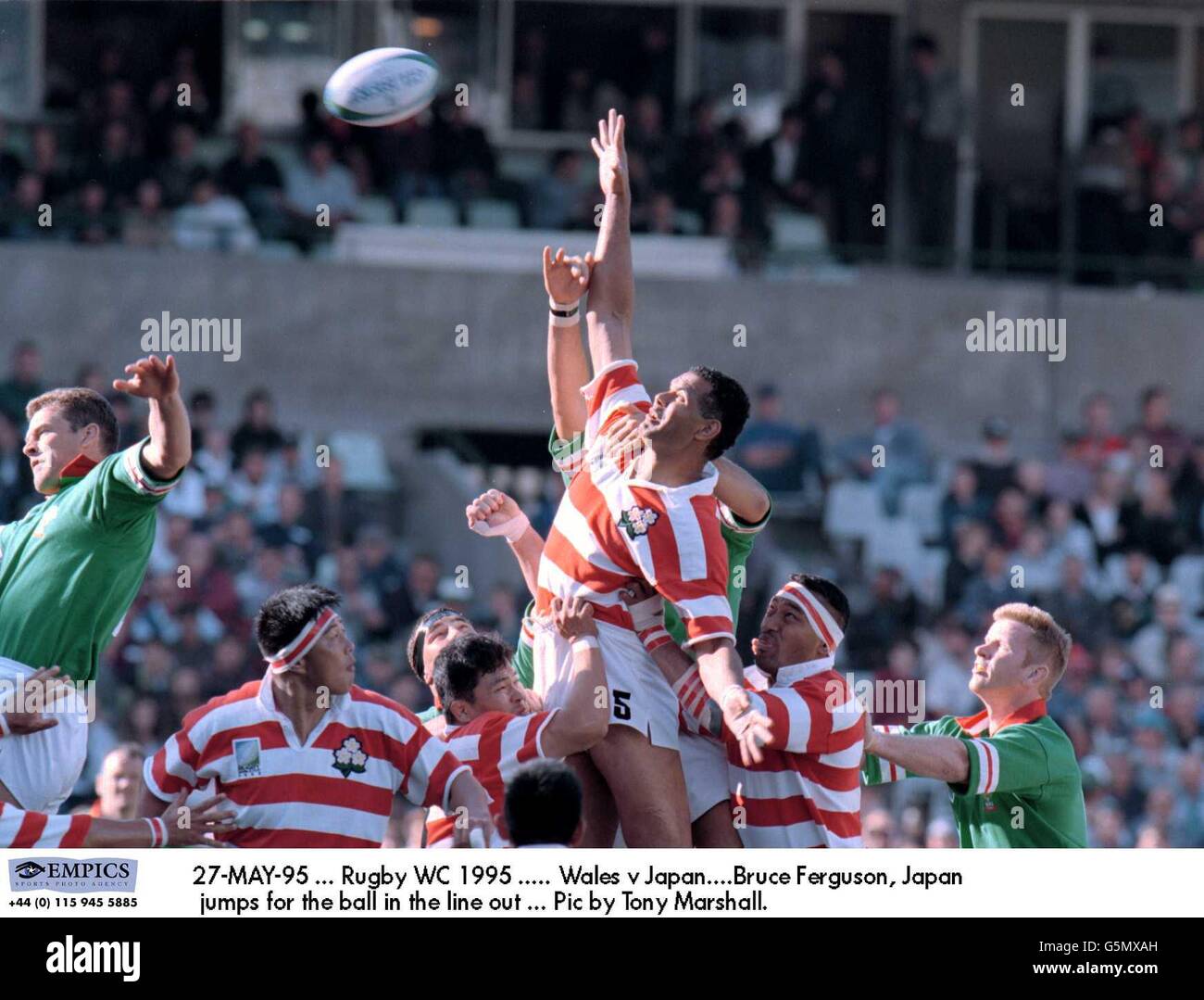 Rugby Union - Rugby World Cup 1995 - Wales v Japan Stock Photo - Alamy