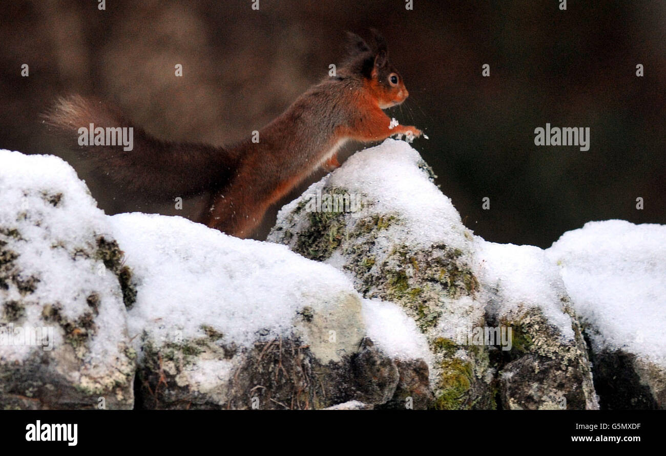 Winter weather December 2nd Stock Photo - Alamy
