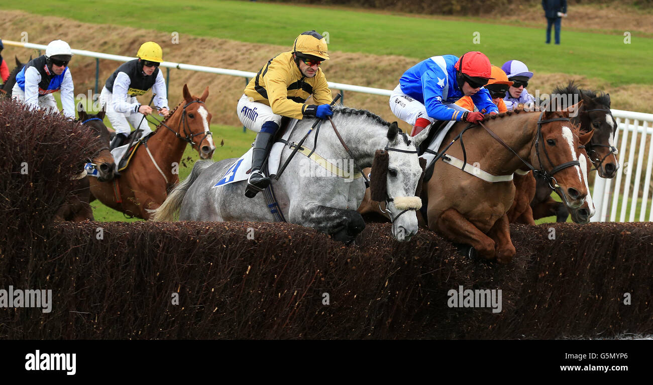 Horse Racing - Leicester Racecourse Stock Photo - Alamy