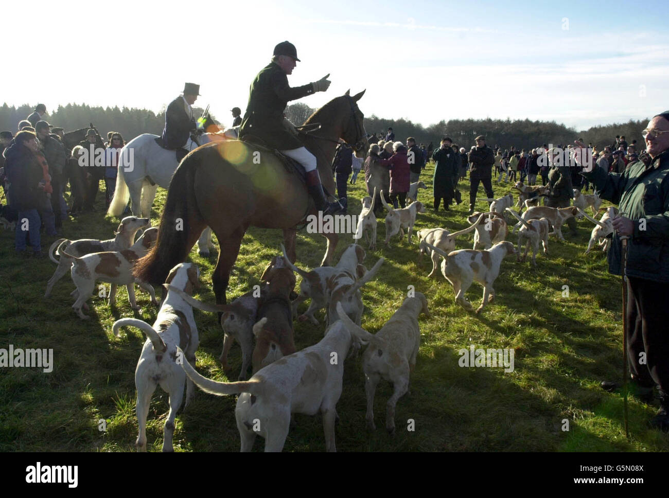 Duke of Beaufort's Hounds boxing Day fox hunt. Huntsmen at the start of ...