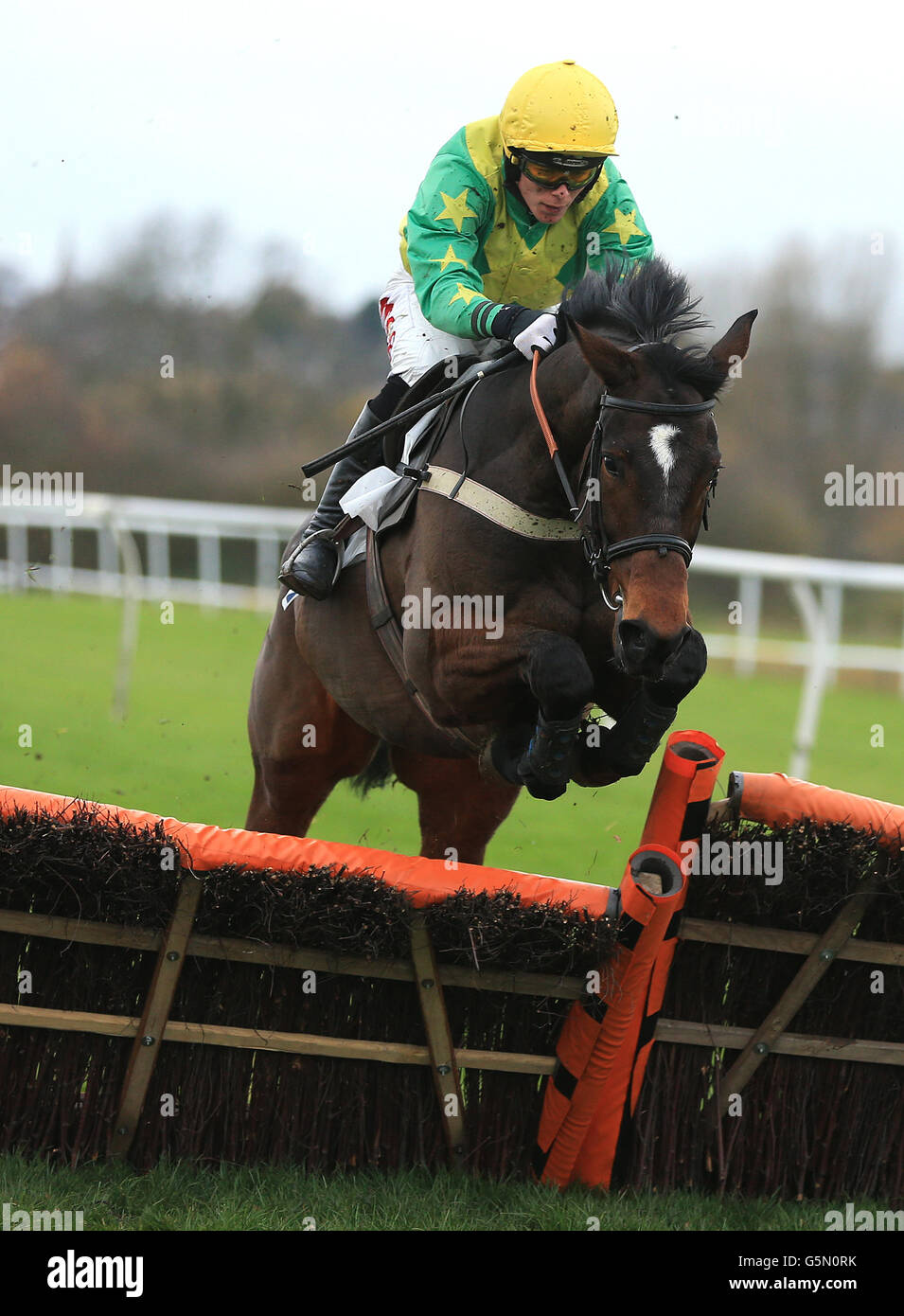 Horse Racing - Leicester Racecourse Stock Photo - Alamy