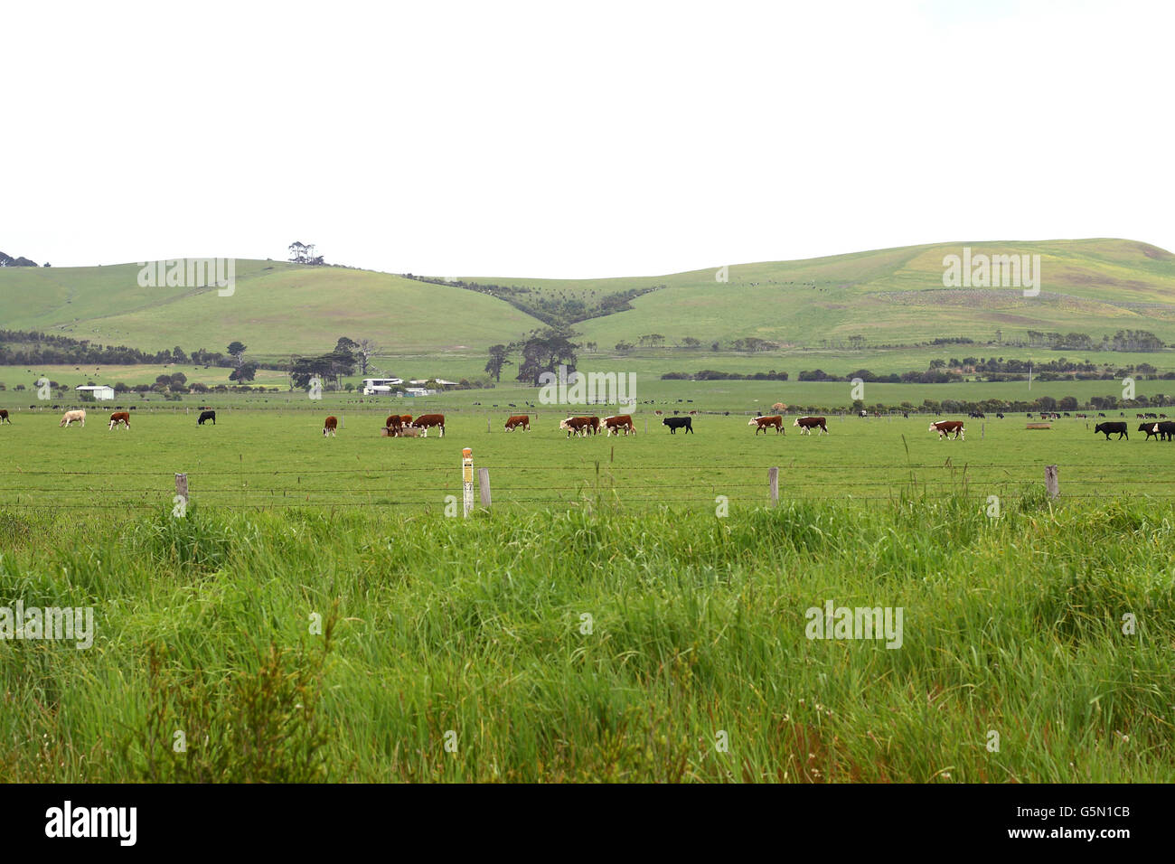Country victoria people hi-res stock photography and images - Alamy