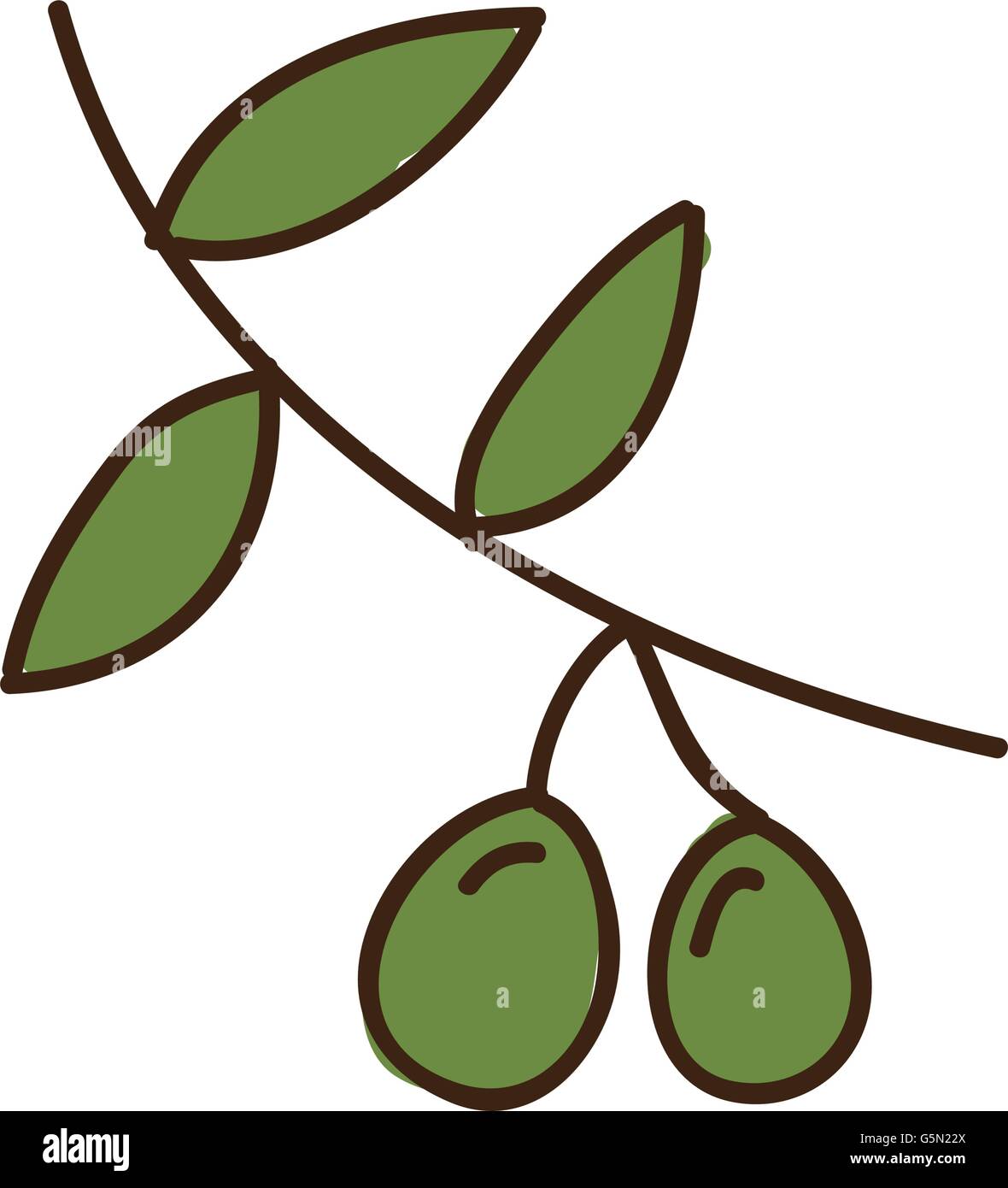 olive seeds isolated icon design Stock Vector Image & Art - Alamy