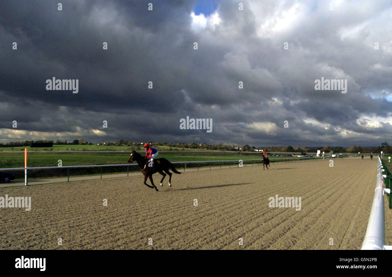 HORSE RACING Stalls Stock Photo - Alamy