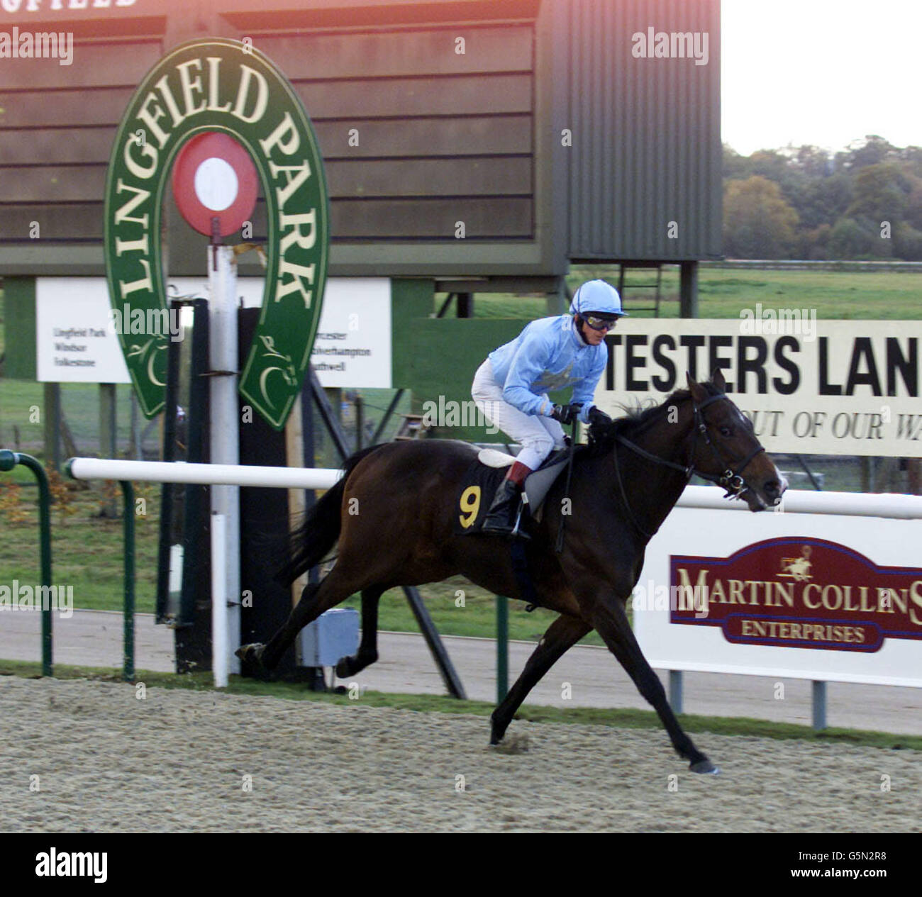 Devolution and Jason Tate win the 1st race at Lingield Park. This is ...