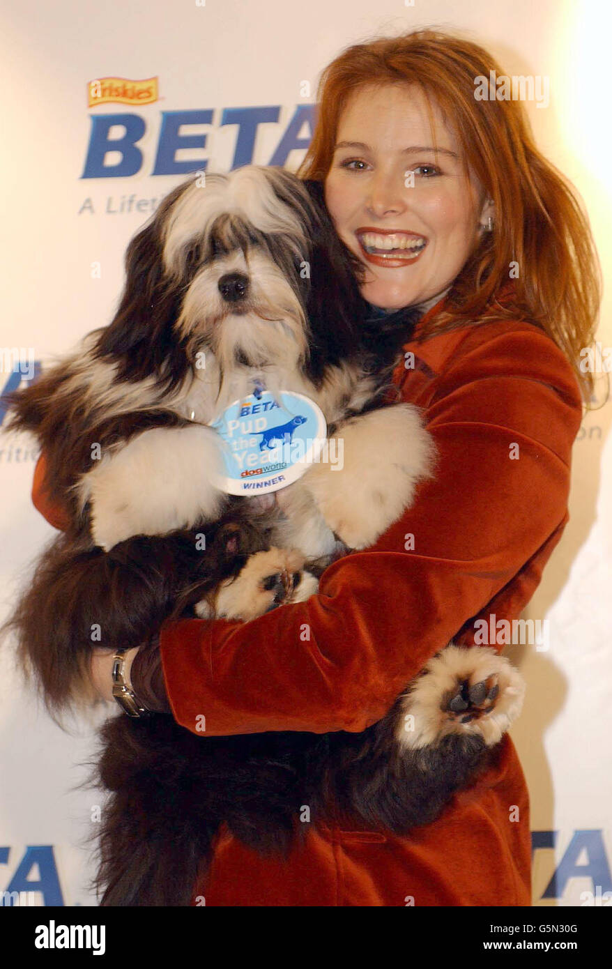 FRISKIES BETA PUP OF THE YEAR Stock Photo - Alamy