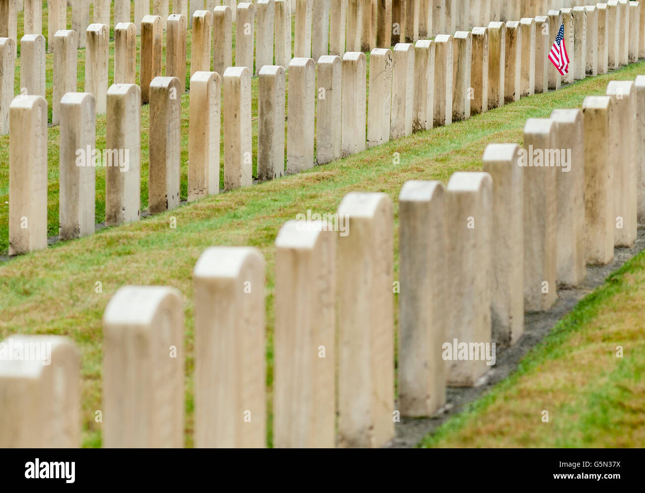 Veterans day tribute american hi-res stock photography and images - Alamy