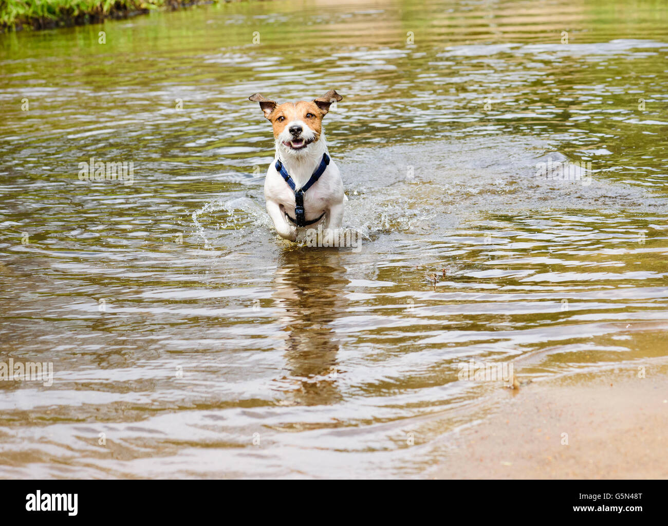 Running water small river hi-res stock photography and images - Alamy