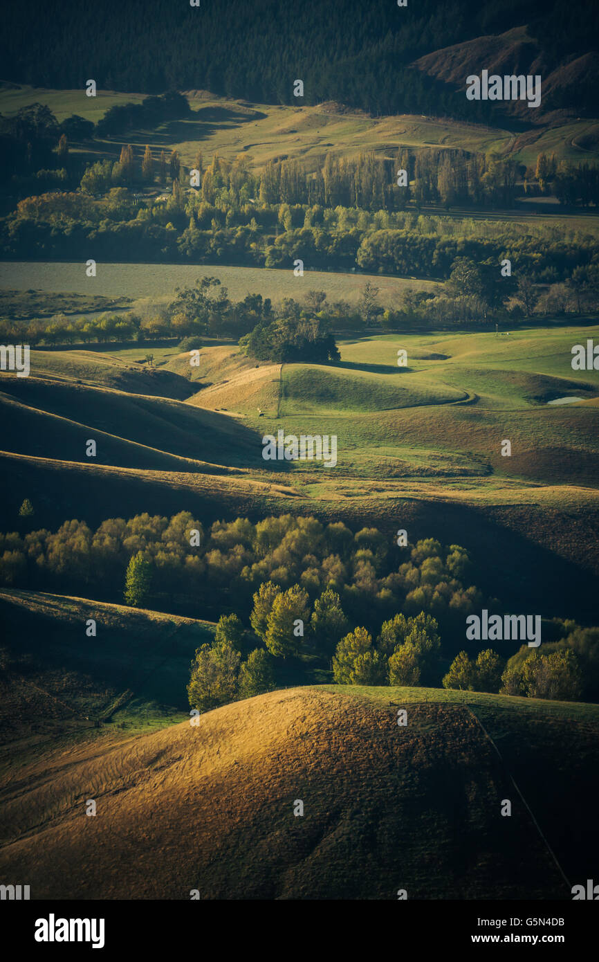 Dotted with trees hi-res stock photography and images - Alamy