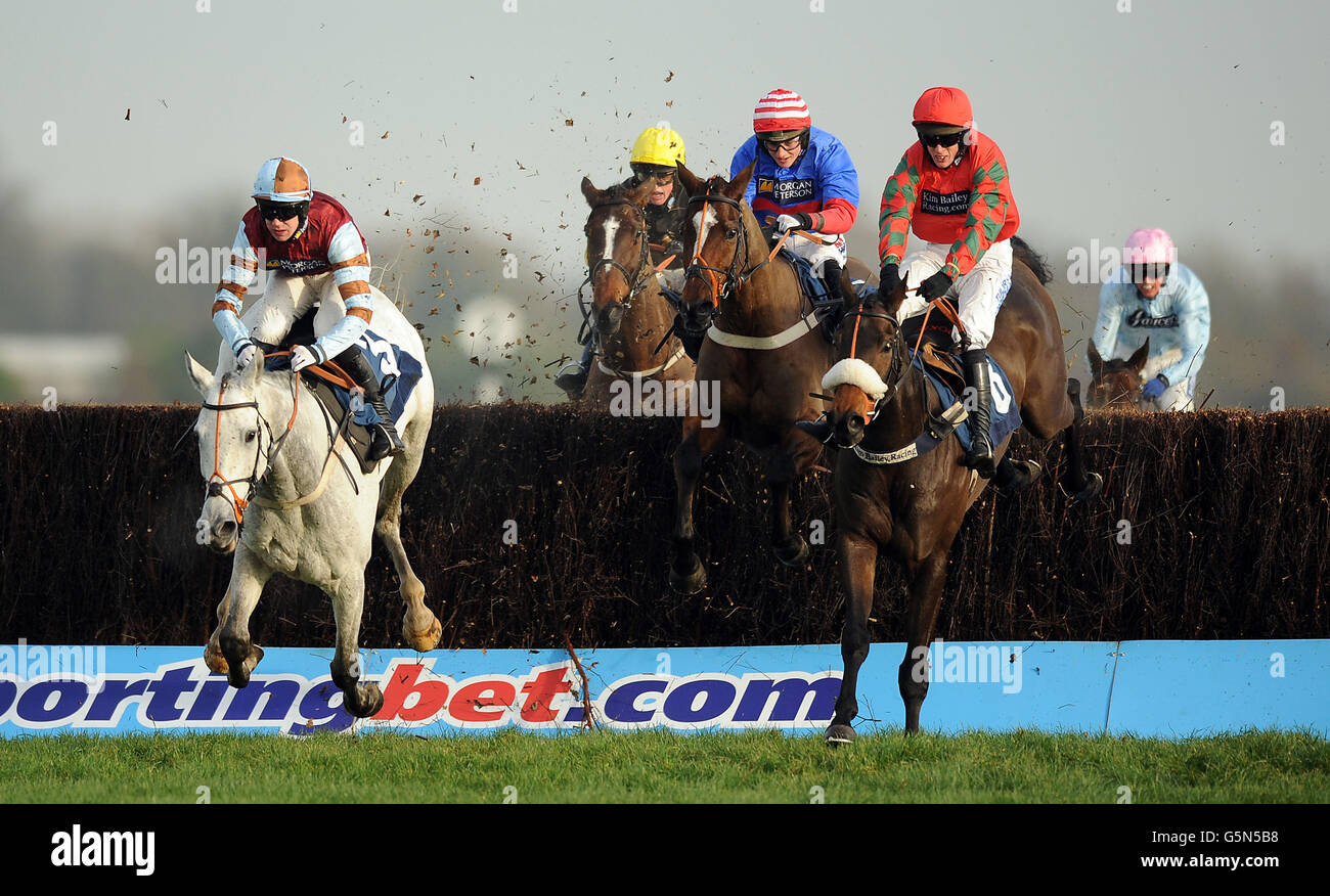 Win my wings horse hi-res stock photography and images - Alamy