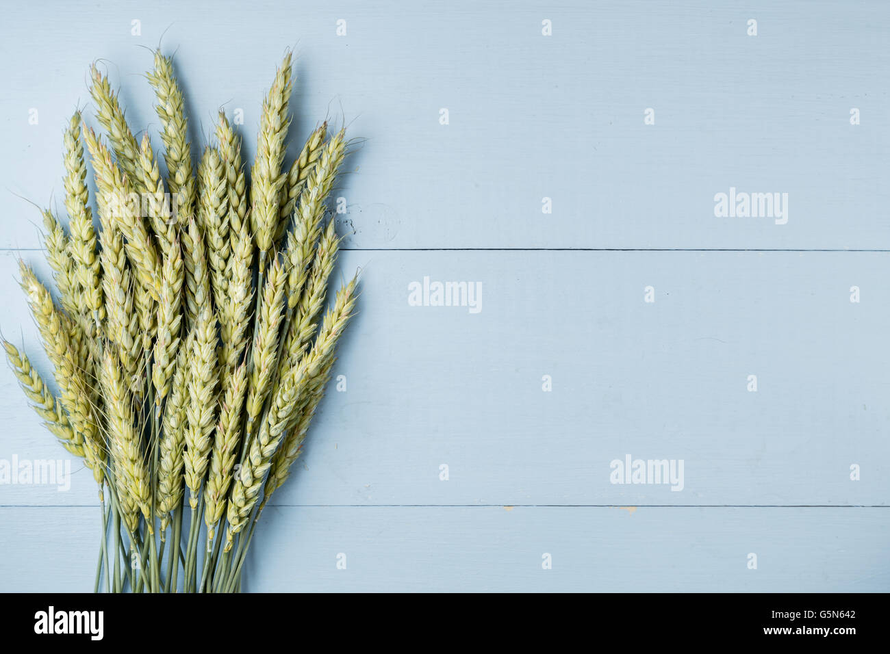 Blue green and wheat hi-res stock photography and images - Alamy