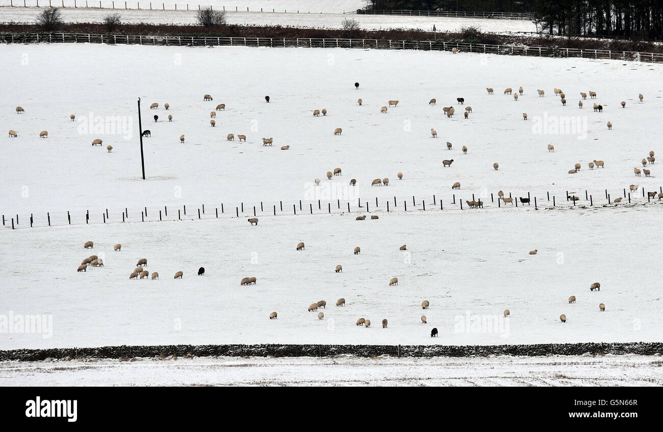 Winter weather December 3rd Stock Photo - Alamy