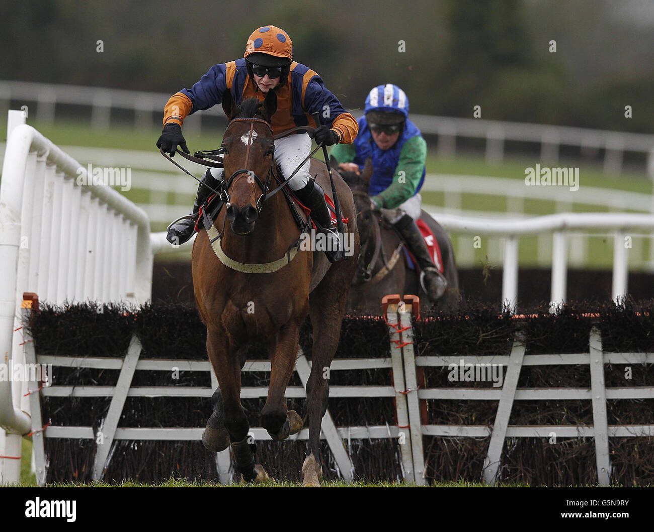 John durkan memorial chase day punchestown racecourse hi-res stock ...