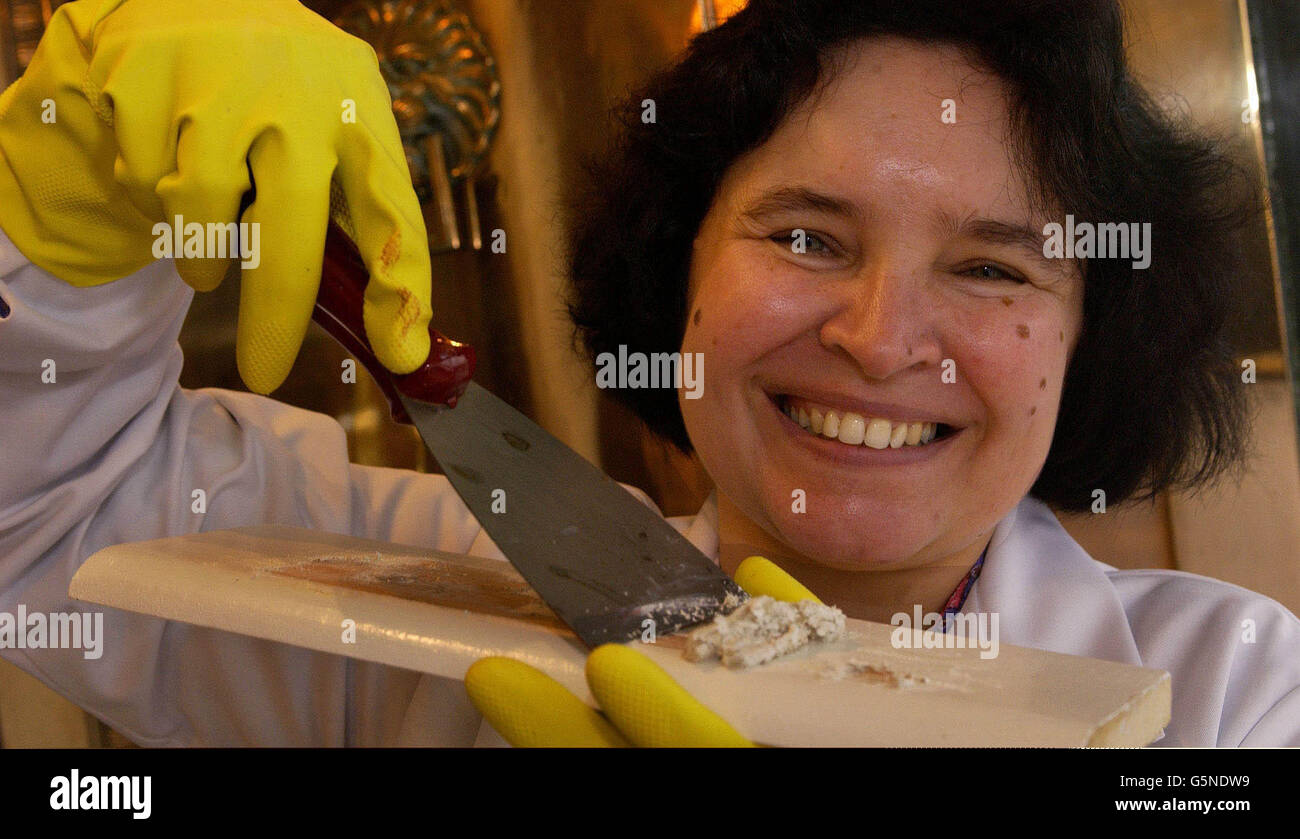 British female inventor of the year awards hi-res stock photography and ...