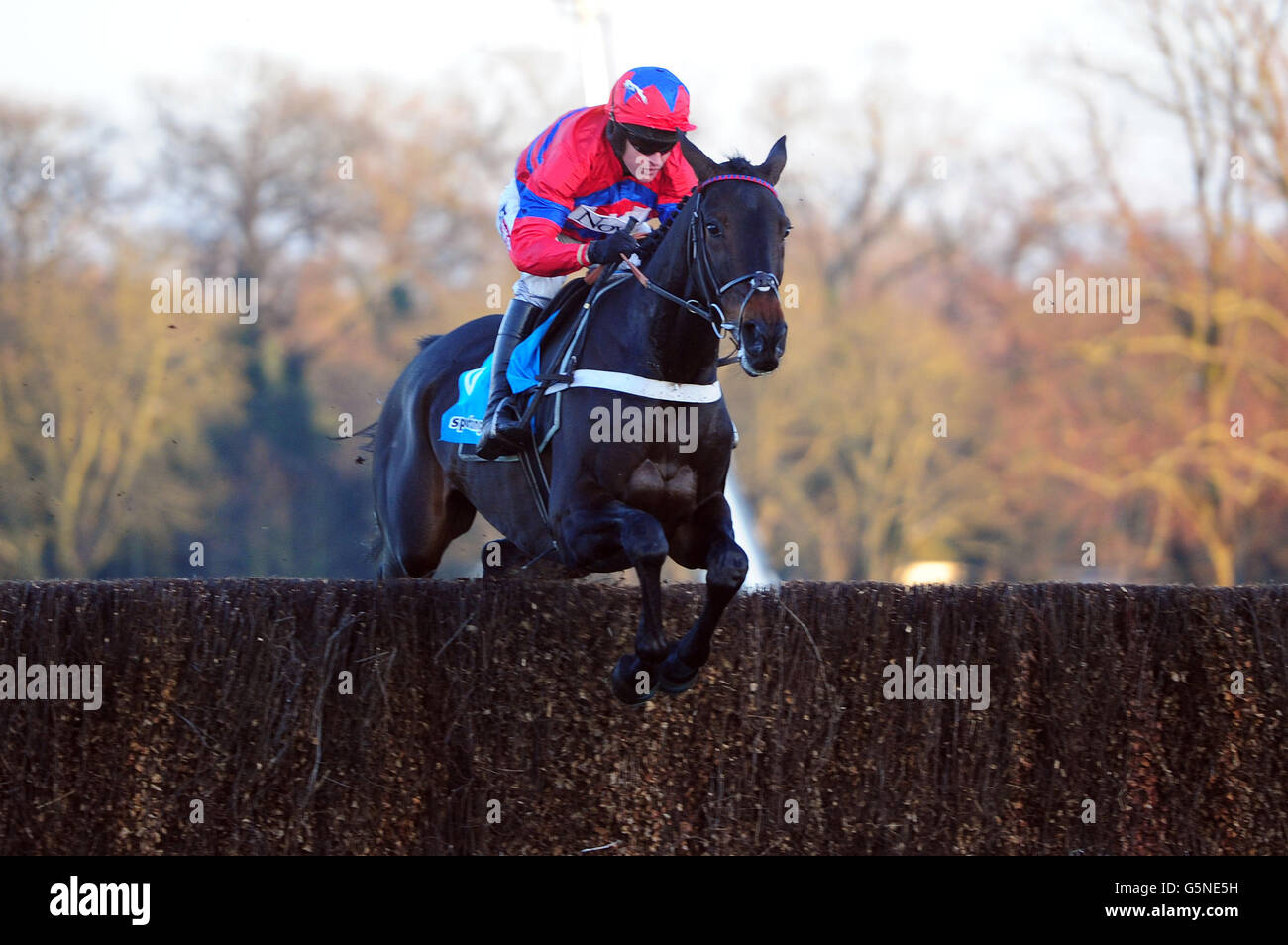 Sprinter sacre sandown hi-res stock photography and images - Alamy