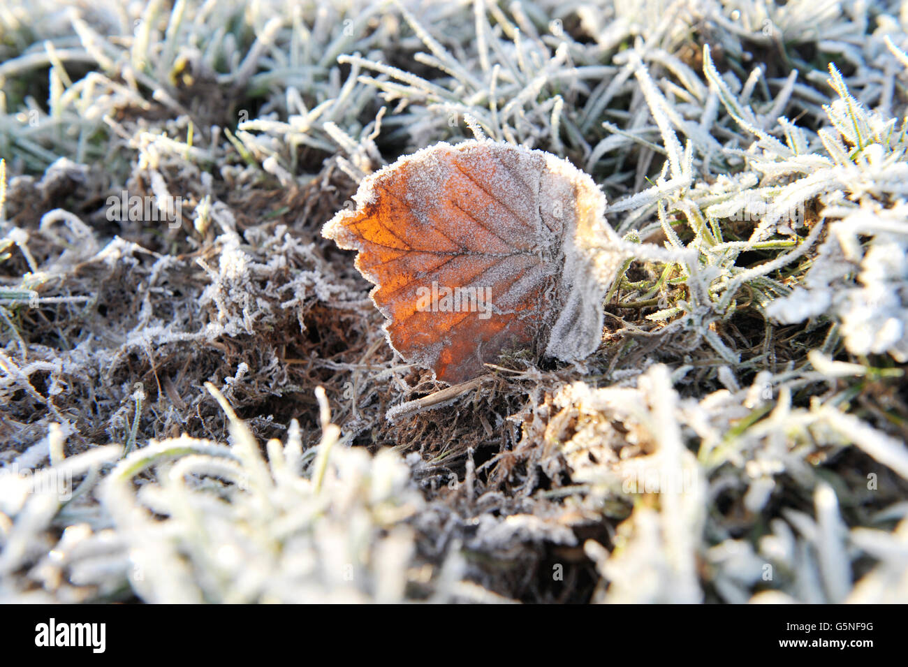 Winter weather December 11th Stock Photo - Alamy