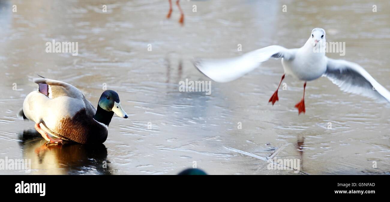 Winter weather December 11th Stock Photo - Alamy