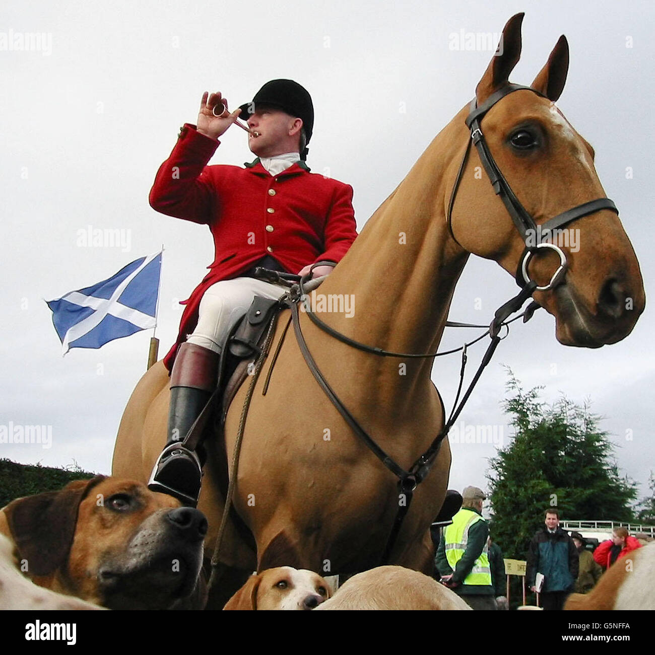 Trevor Adams starts the Kelso Hunt in the Scottish Borders. The ...
