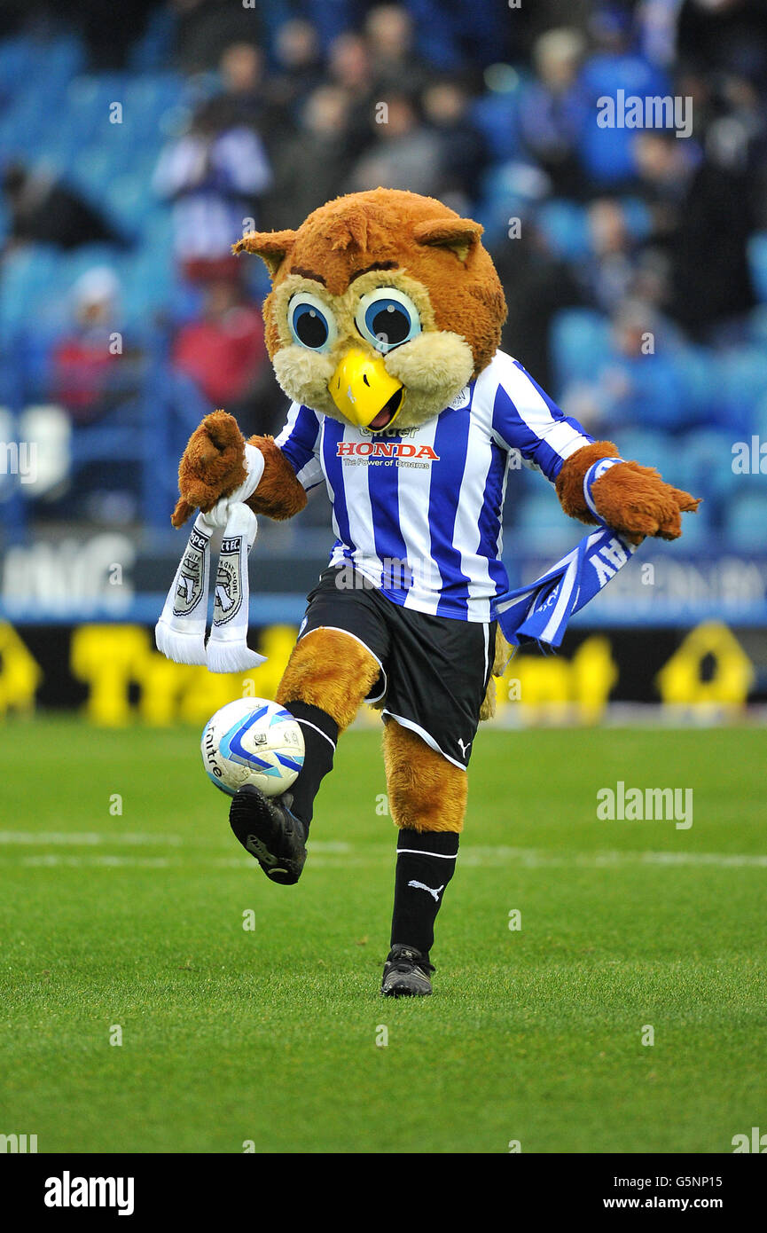 Sheffield wednesday mascot High Resolution Stock Photography and Images ...
