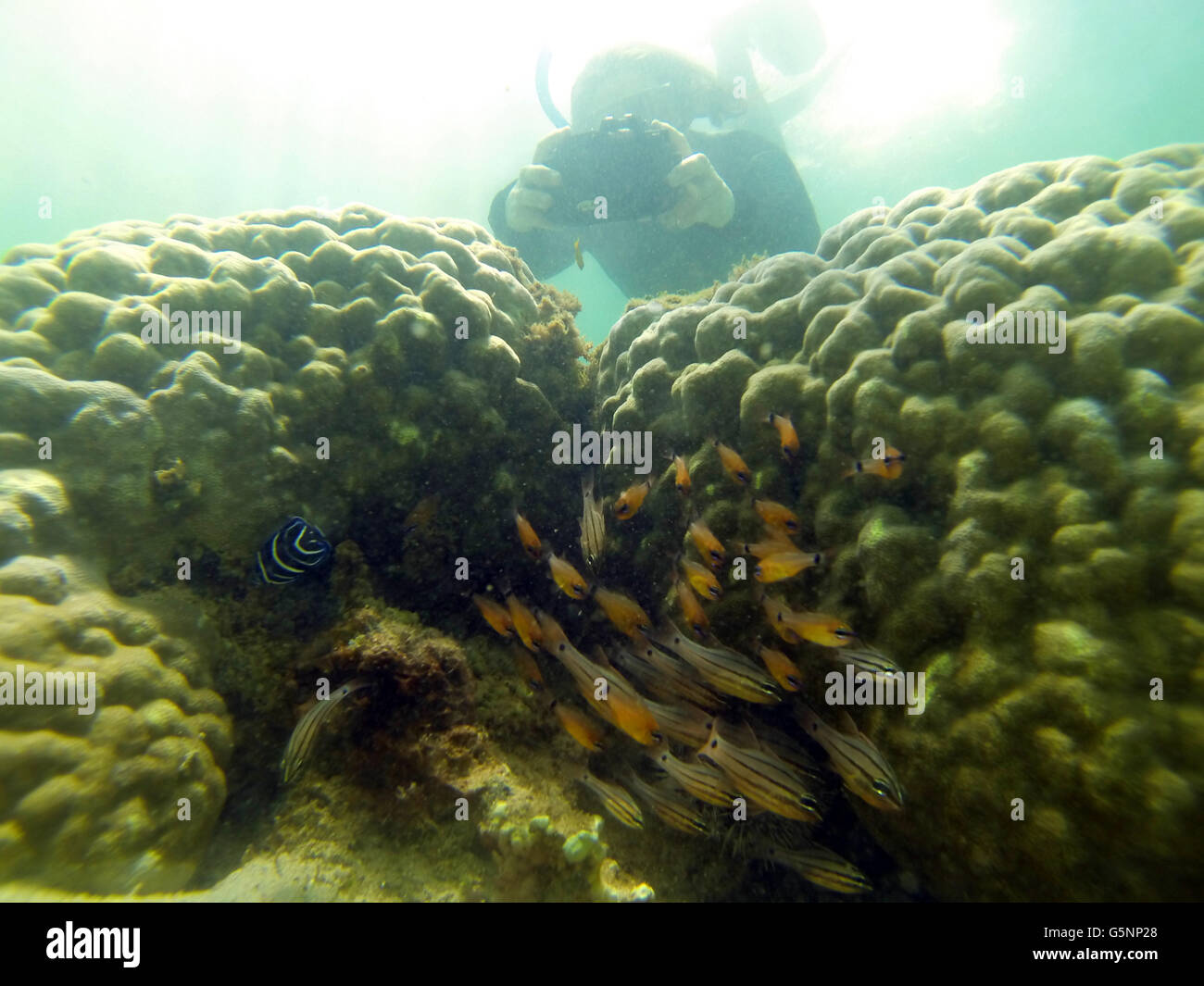 Pilbara island hi-res stock photography and images - Alamy