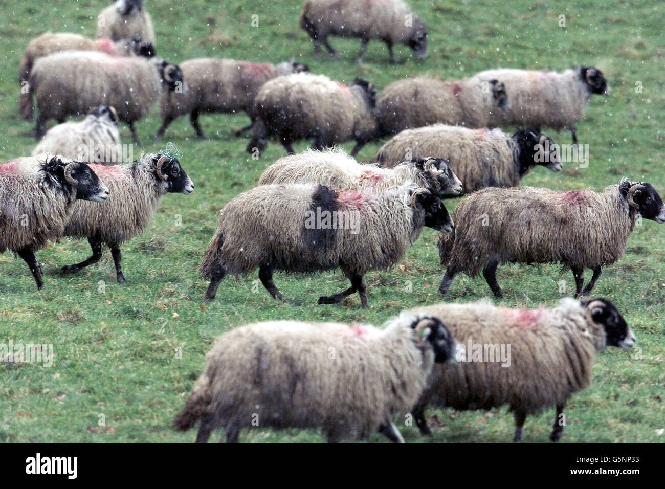 Mount pleasant farm hi-res stock photography and images - Alamy