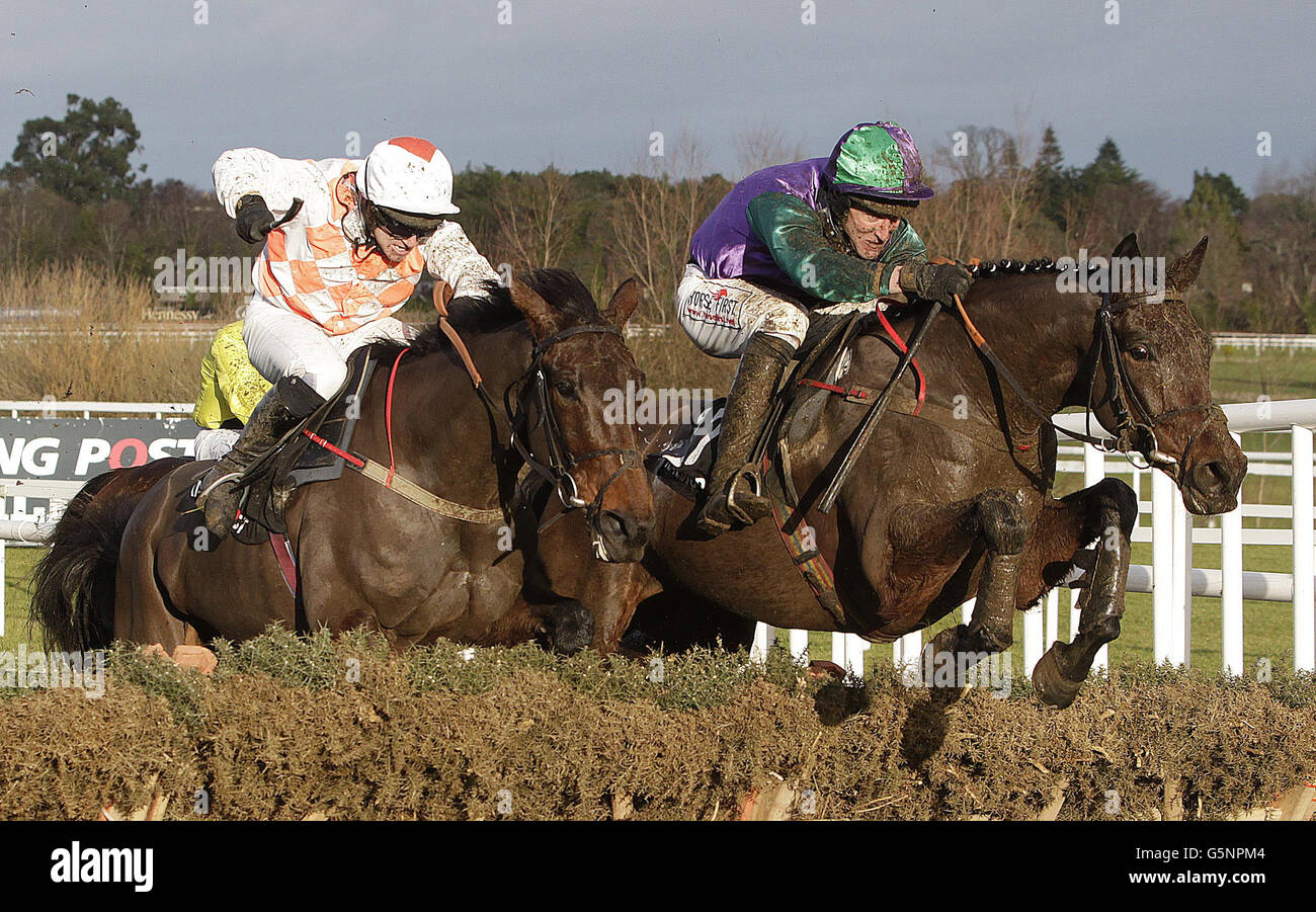 Shariyan hi-res stock photography and images - Alamy