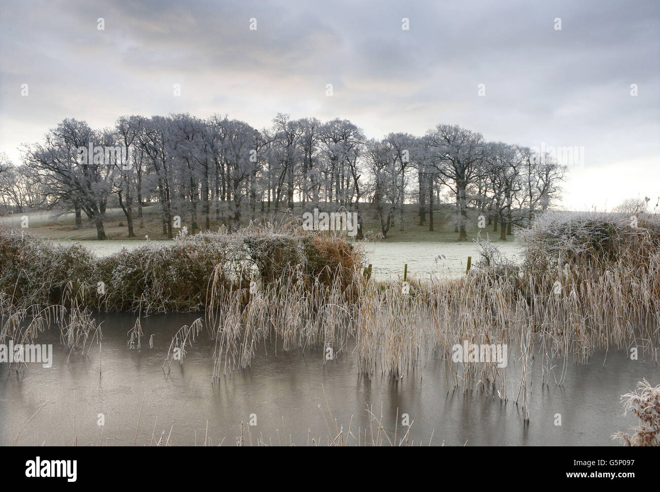 Weather fog wip hi-res stock photography and images - Alamy