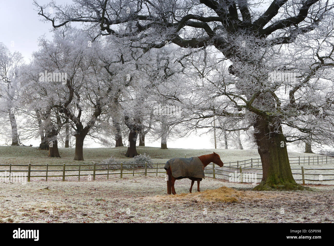 Zero degrees hi-res stock photography and images - Alamy