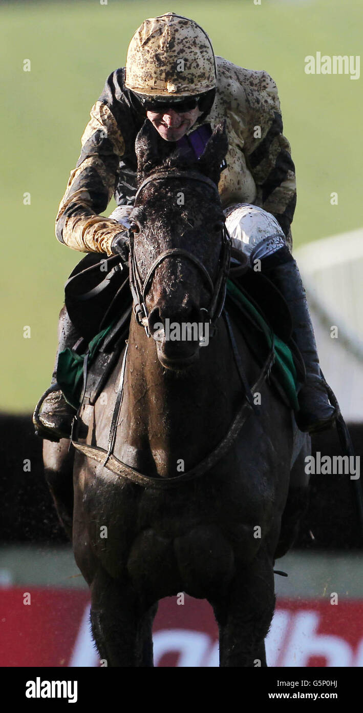 Horse racing navan racecourse hi-res stock photography and images - Alamy