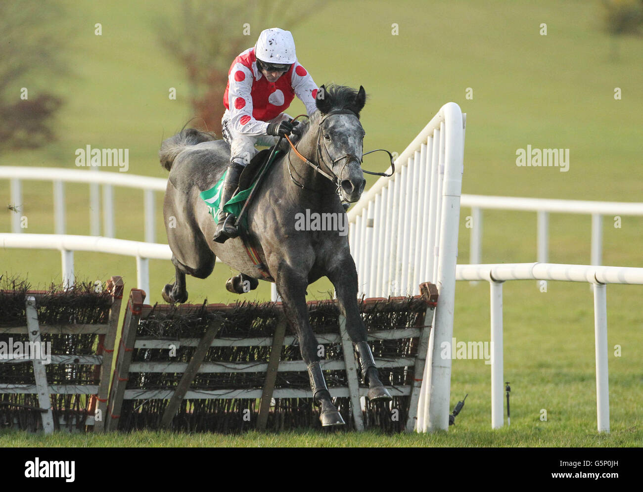 Horse Racing Navan Racecourse High Resolution Stock Photography and ...