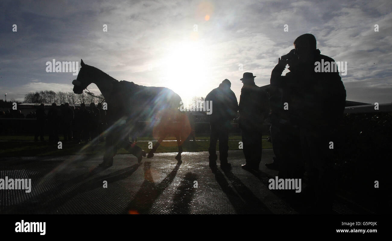 Horse racing navan racecourse hi-res stock photography and images - Alamy