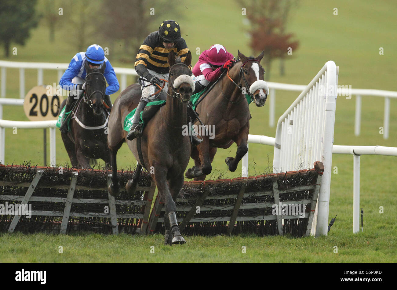 Horse racing navan racecourse hi-res stock photography and images - Alamy