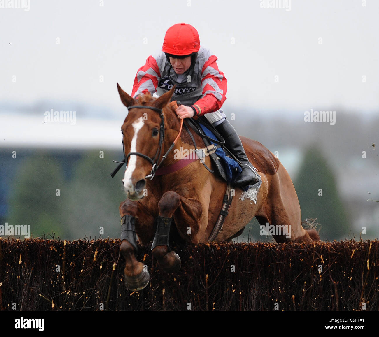 Horse racing christmas raceday newbury racecourse hi-res stock ...