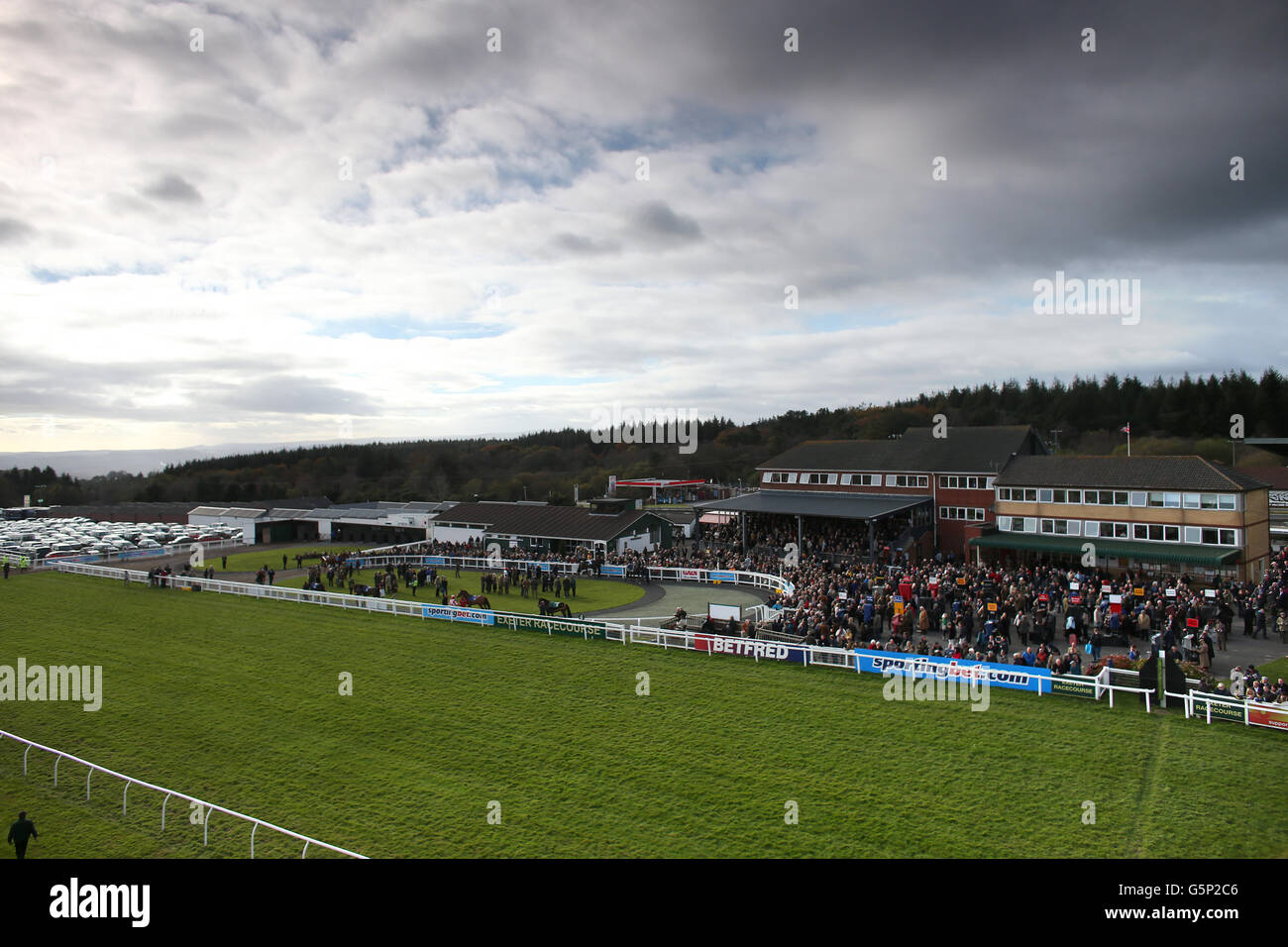 Horse general view aerial hi-res stock photography and images - Alamy