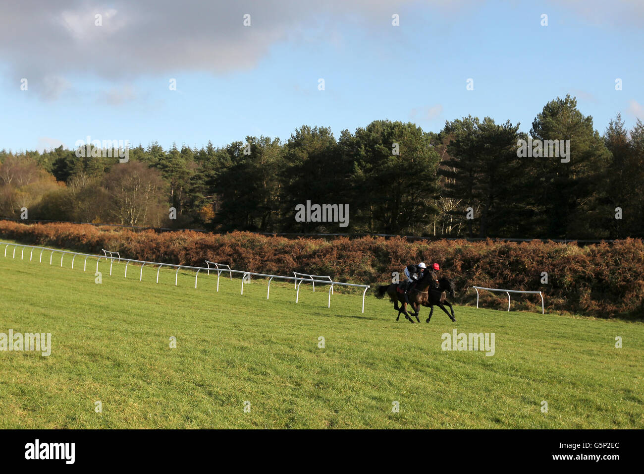 Horse Racing - Student Raceday - Exeter Racecourse Stock Photo - Alamy