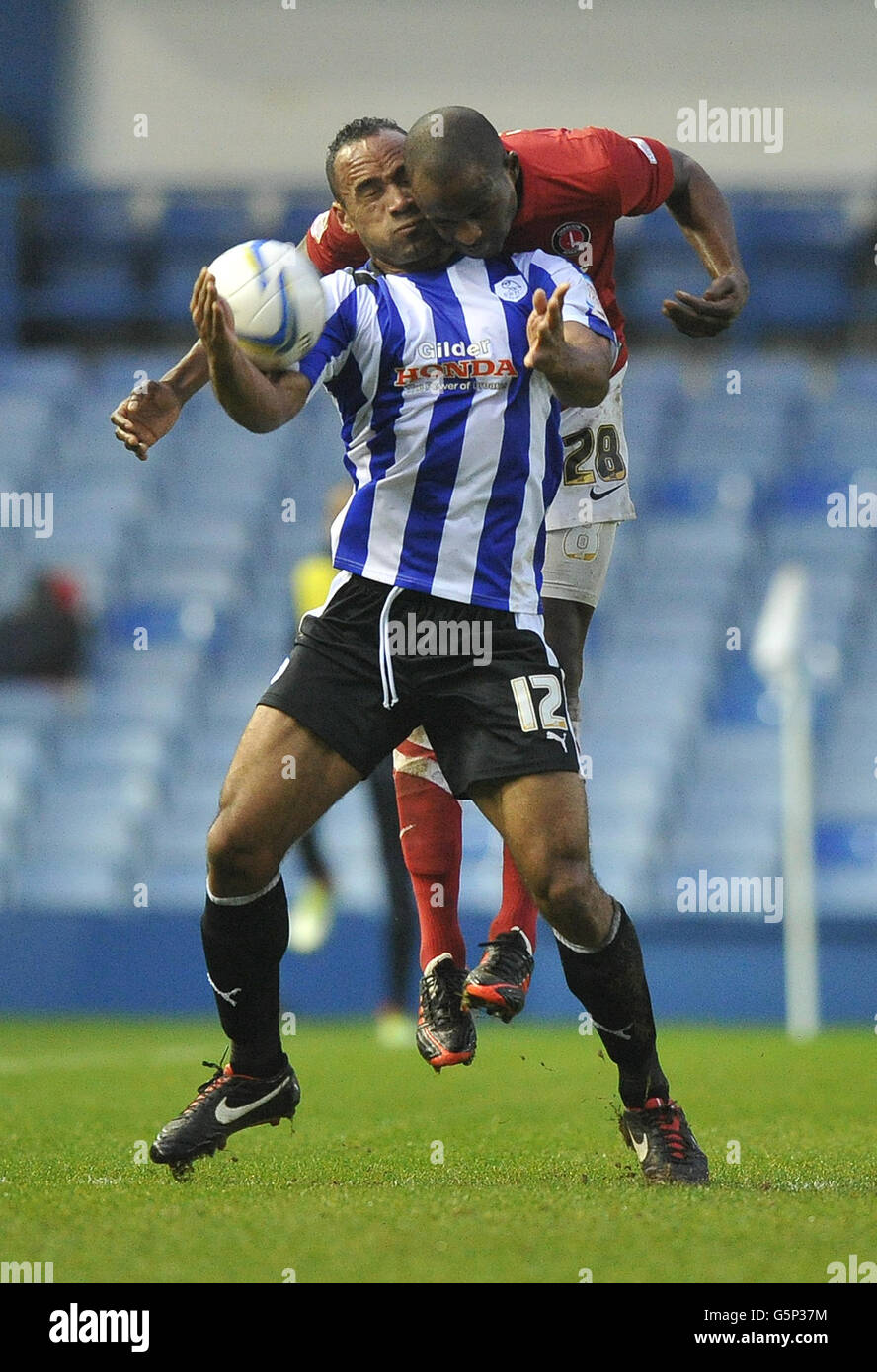 Soccer football league championship sheffield wednesday charlton ...