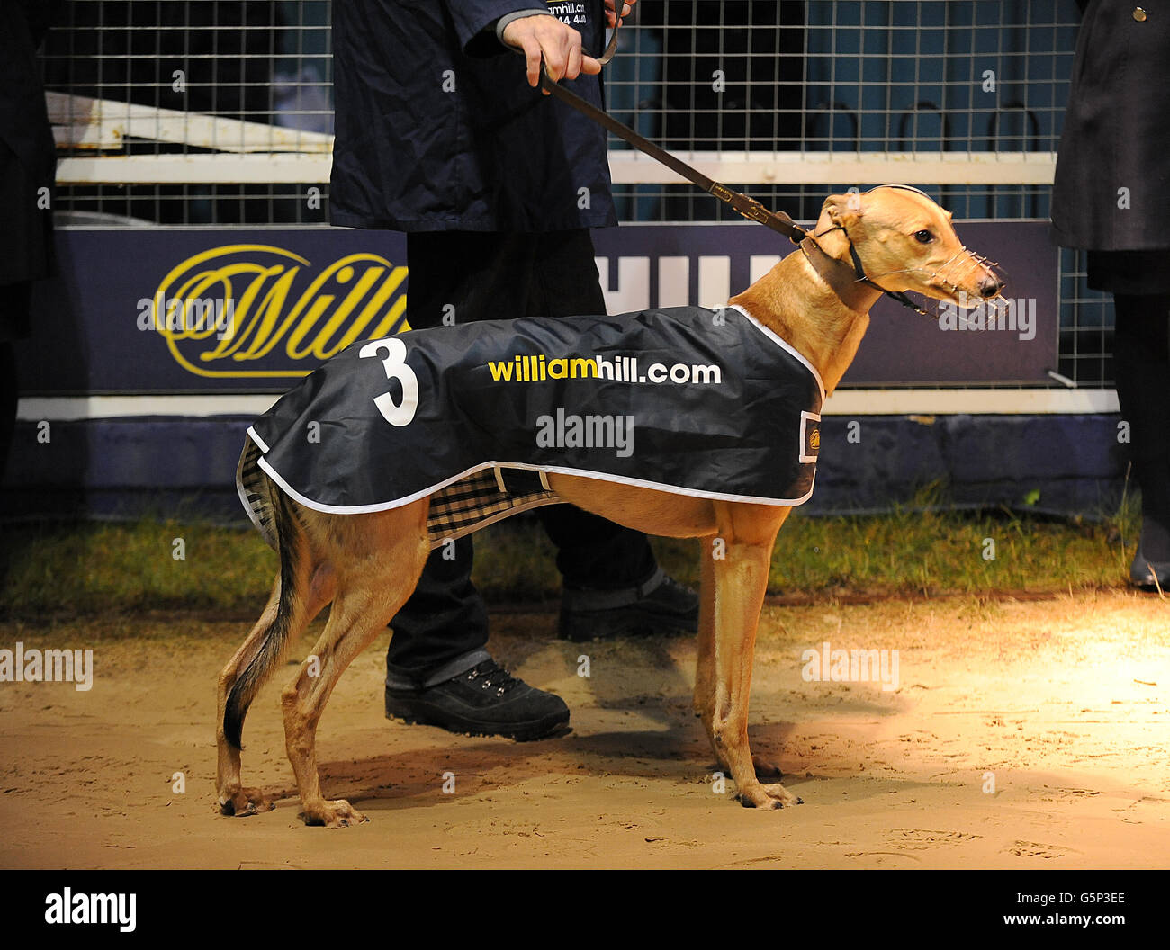 Greyhounds - Williamhill.com Oaks - Final - Wimbledon Greyhound Stadium ...