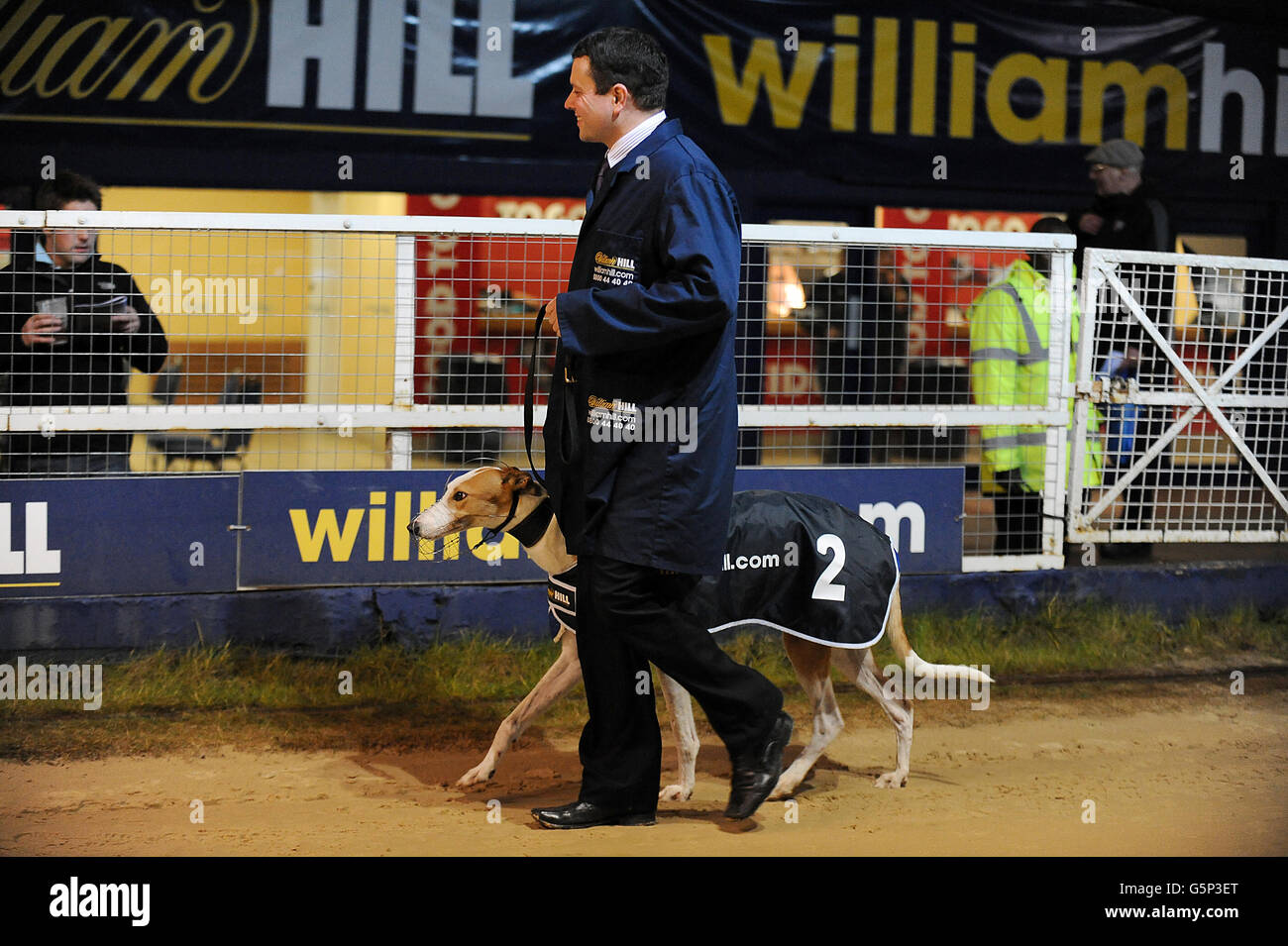 Greyhounds - Williamhill.com Oaks - Final - Wimbledon Greyhound Stadium ...