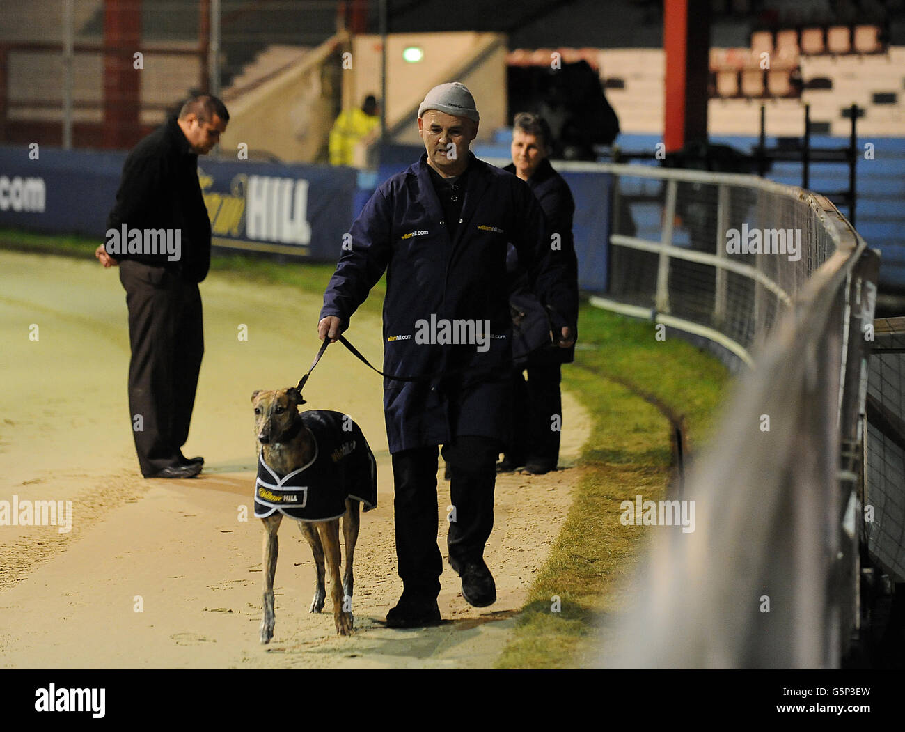 Greyhounds - Williamhill.com Oaks - Final - Wimbledon Greyhound Stadium ...