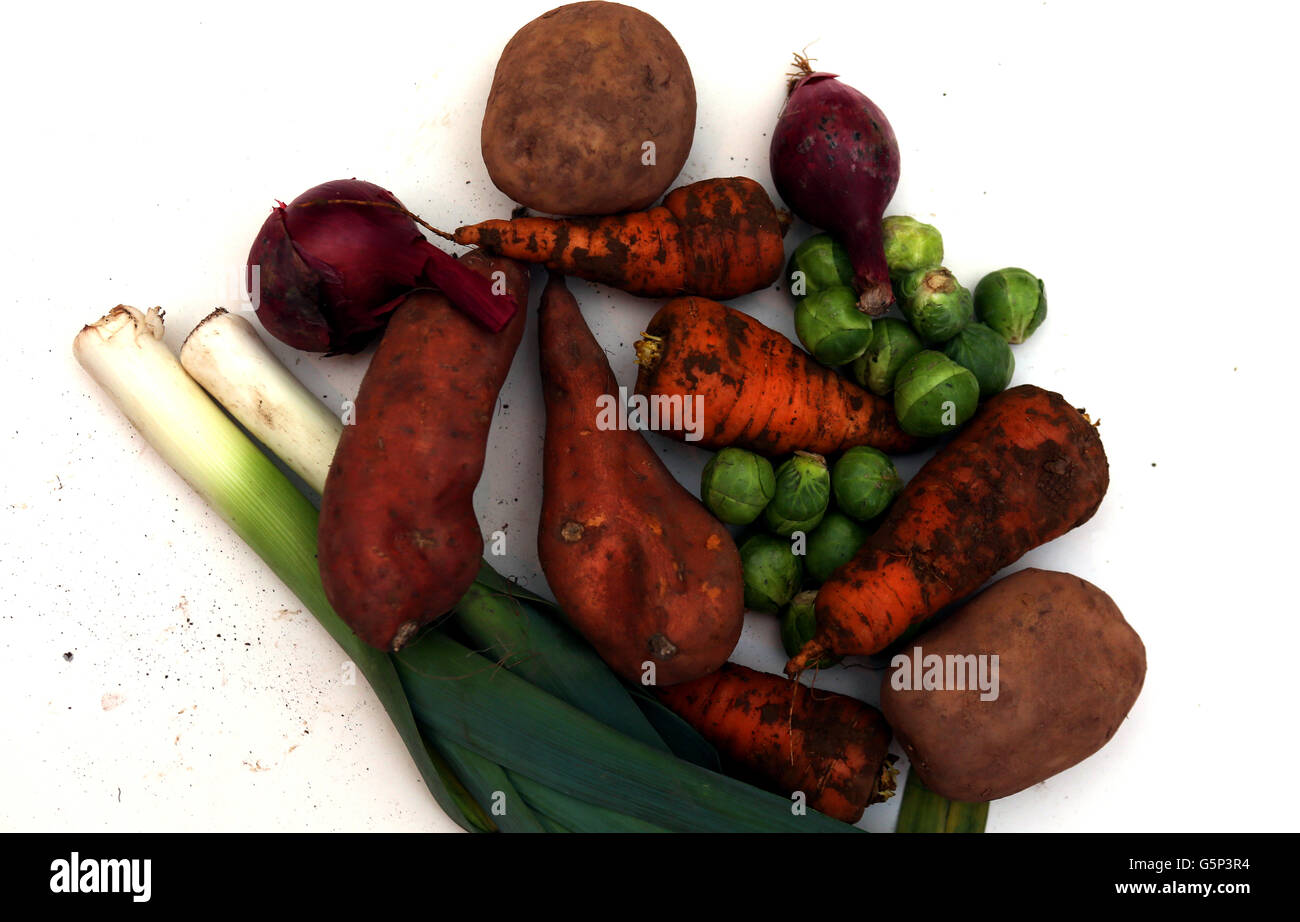 Organic Vegetables, stock. Fresh organic vegetables Stock Photo - Alamy