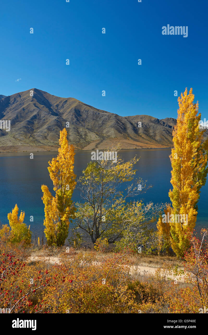 Waitaki new zealand cycle hi-res stock photography and images - Alamy