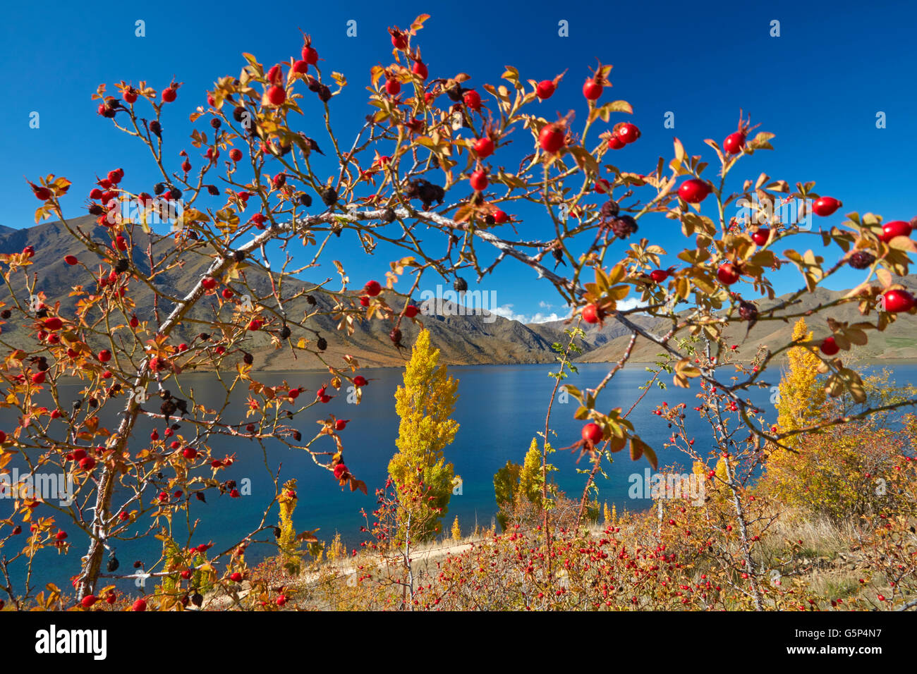 Waitaki new zealand bike hi-res stock photography and images - Alamy