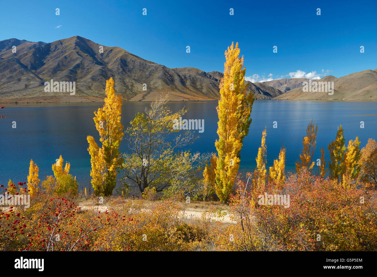 Waitaki new zealand cycle hi-res stock photography and images - Alamy