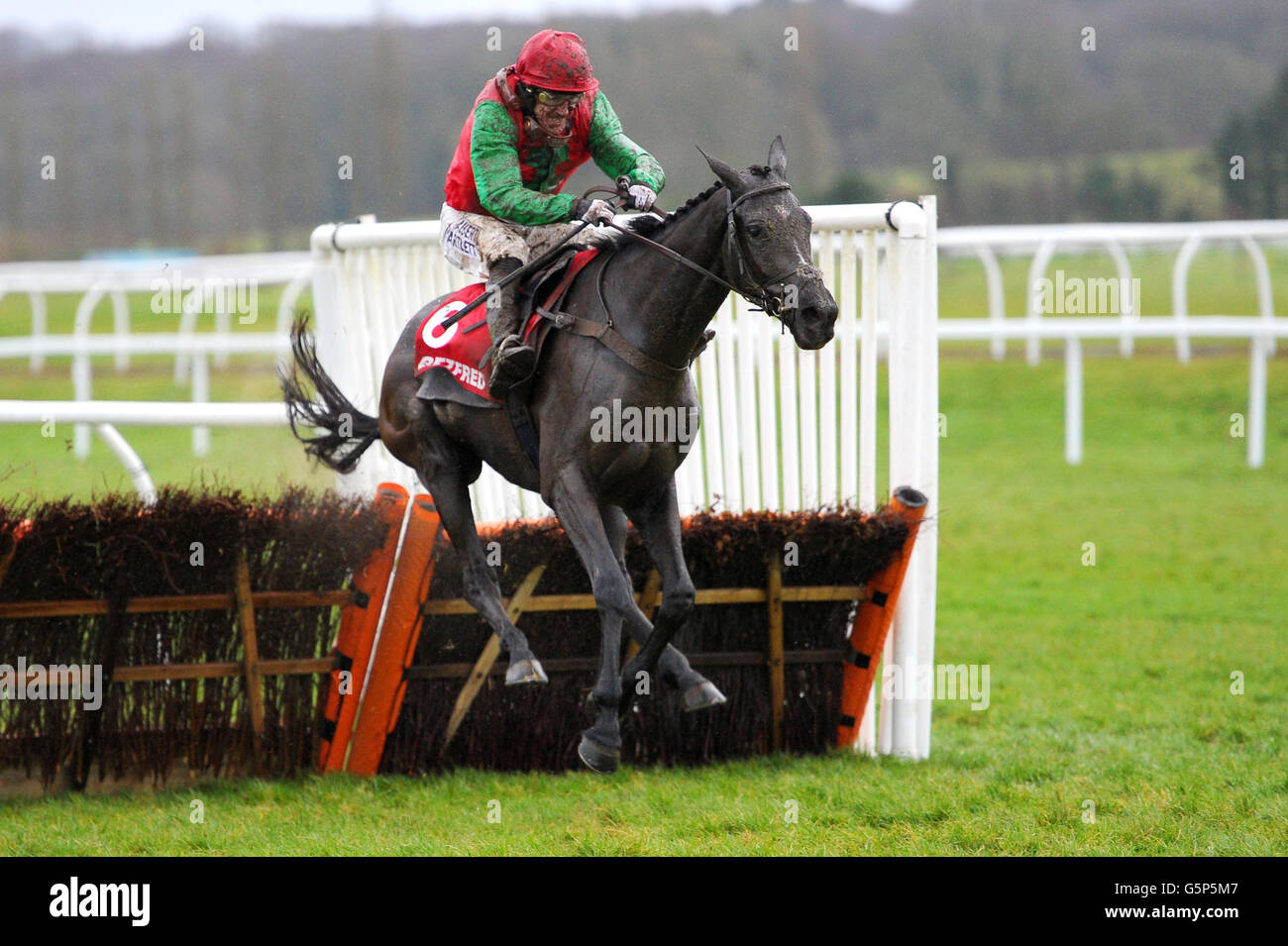 Horse Racing - Festive Family Fun Raceday - Newbury Racecourse Stock ...