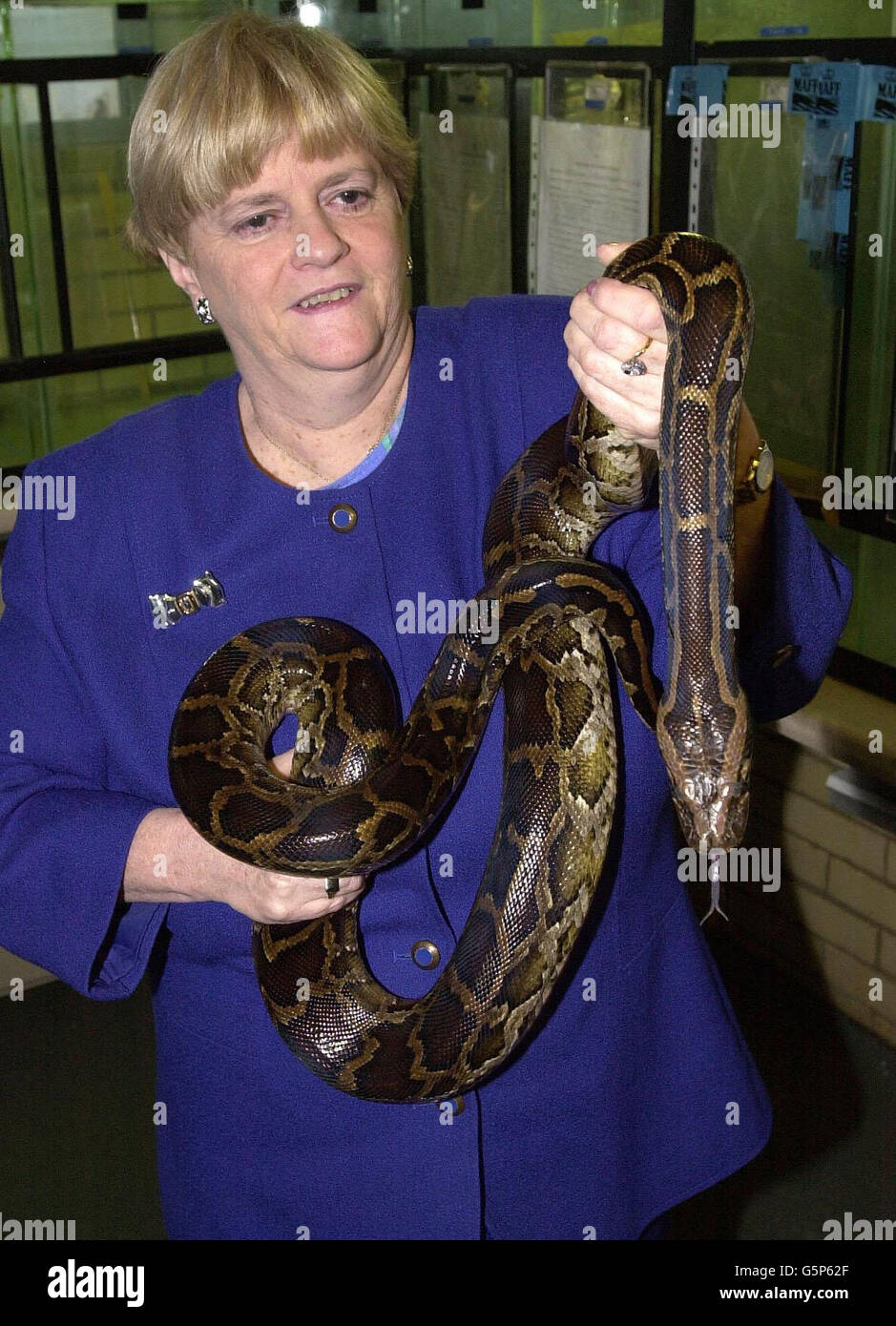 Widdecombe WWF Campaign Stock Photo - Alamy